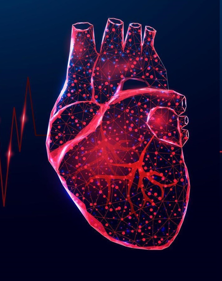 Cardiology – Bone & Joint Care Multispeciality Hospital